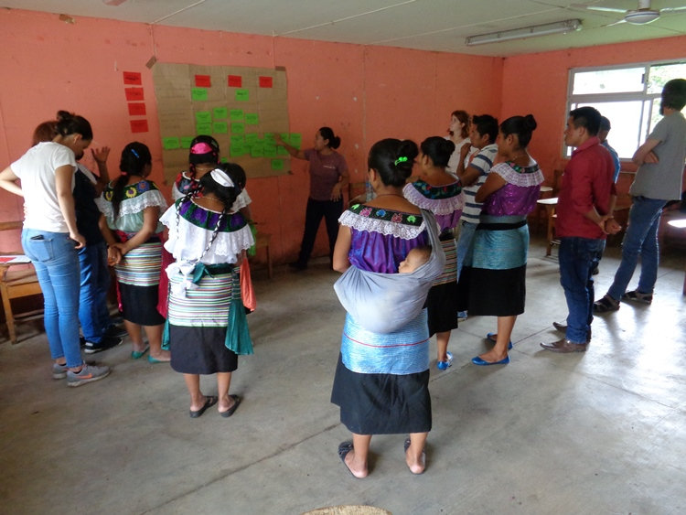 Integrity for community-managed and small water systems