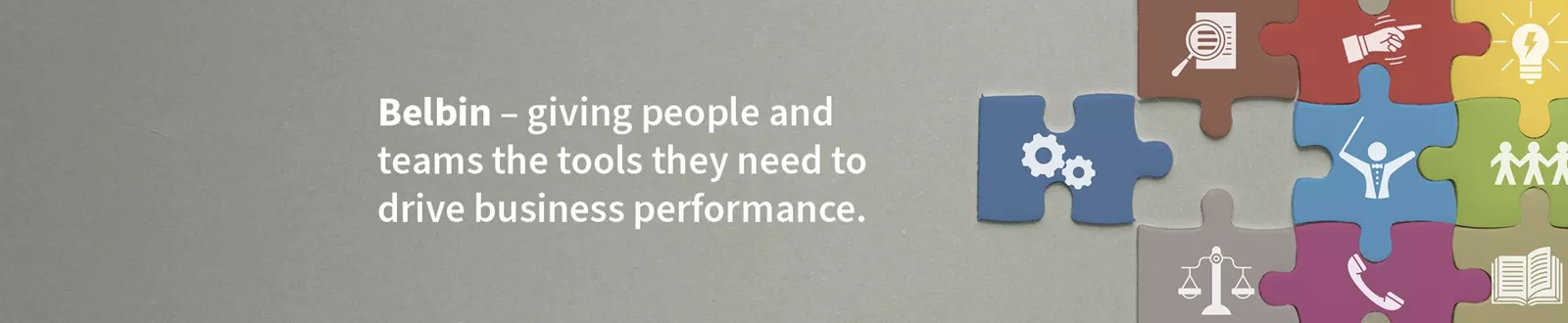Belbin Team Roles | OLYKOS