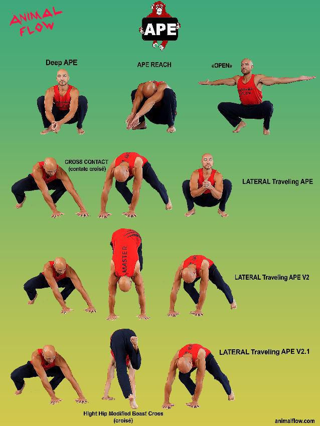 Ape | hungsing-kungfu