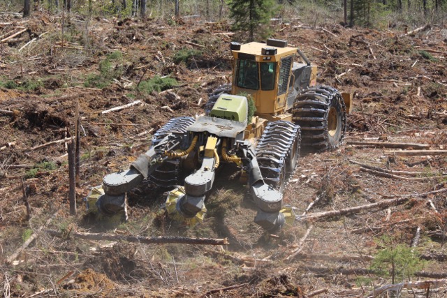 Tree Planting In Ontario | Heritage Reforestation Inc.