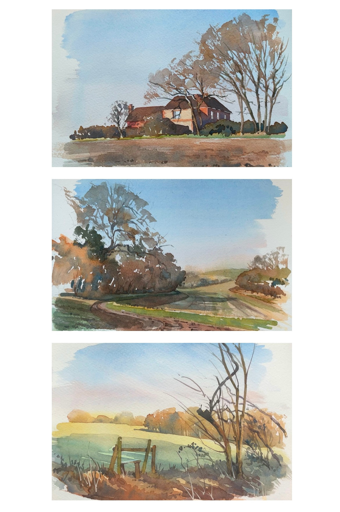 Out on a walk below the Inkpen ridge on a rare day of sunshi ...