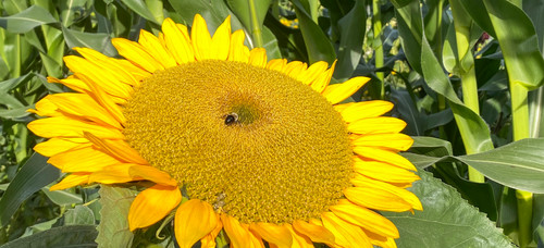 All Products | Dozenal Math Base-12