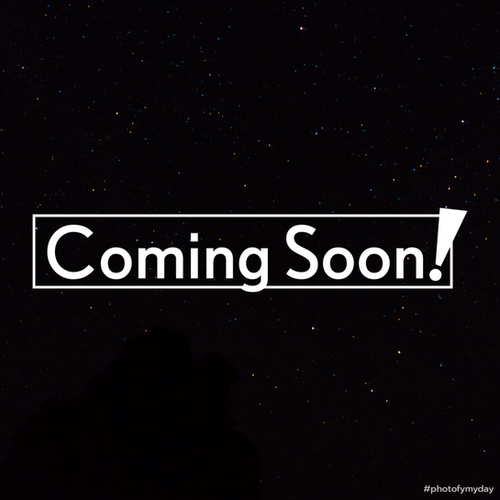 Grey/Black Hidden Trail T-Rex | Outbound Trailer