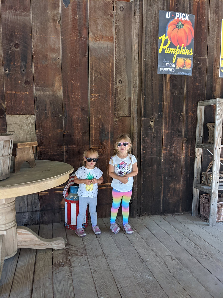 Riley's Farm