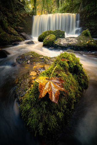 Autumn Falls | Gareth Mon Photo