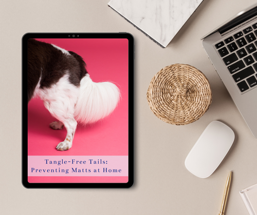 "Tangle-Free Tails: Prevent Matts at Home” Ebook, Dog Grooming Guide ...