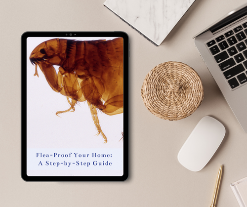"Flea-Proof Your Home: A Step by Step Guide", Ebook, Dog Grooming Guide ...