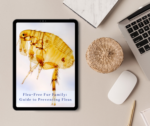 "Flea-Free Fur Family: Guide to Preventing Fleas", Ebook, Dog Grooming ...