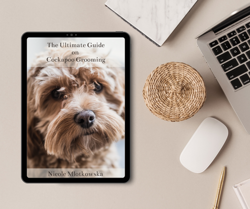"The Ultimate Guide on Cockapoo Grooming" Dog Grooming Guide | Lady and ...