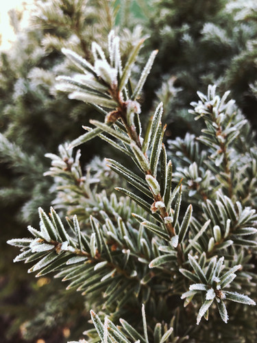 Kerst | Studio Idem Dito - Store Idem Dito