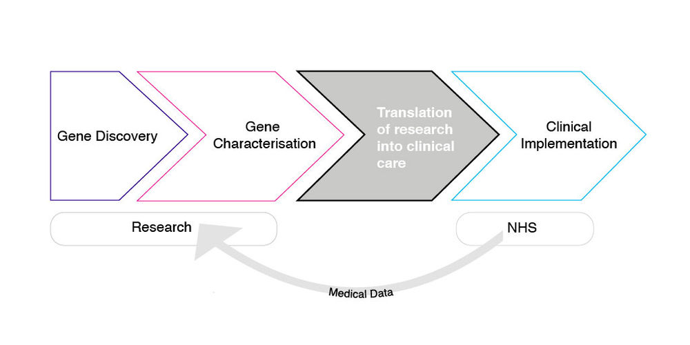Genomic medicine: filling the gap or working the boundary between ...