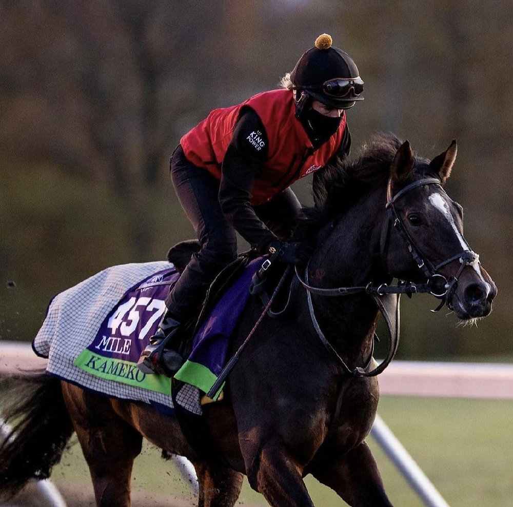 The Racing Life of Maddy O'Meara - International Head of Travelling for ...