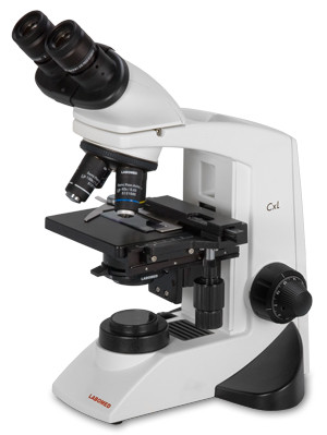 Labomed CxL Binocular Microscope | Microscope Solutions