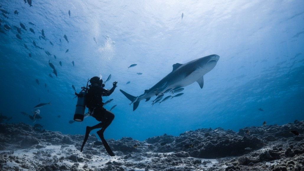 KANDU - an underwater experience in the Maldives like no other.