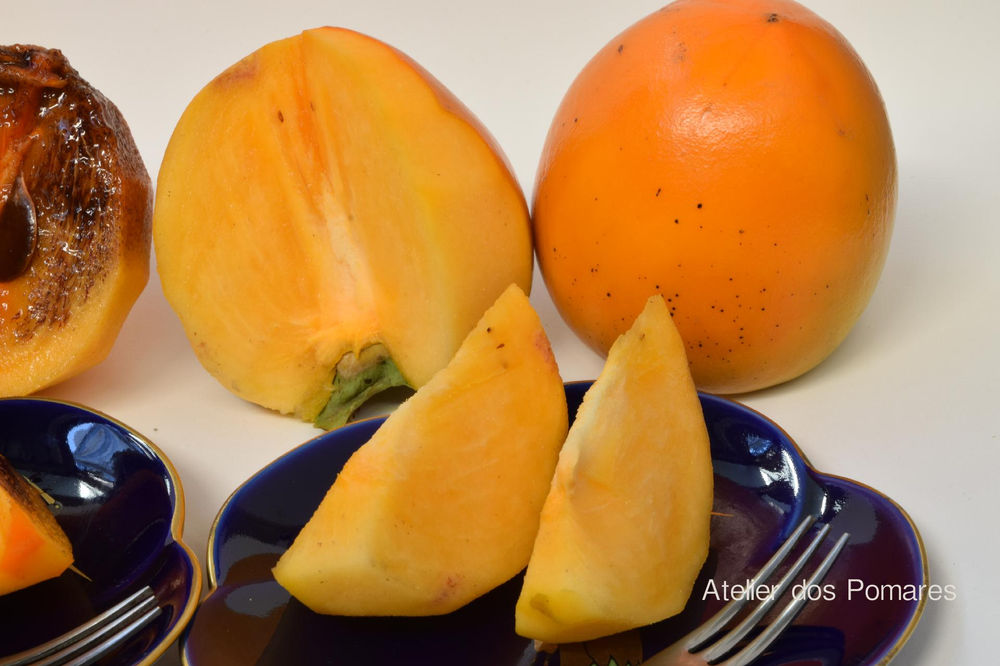 Caqui “Chocolate” ou Guiombo