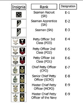 usnscc ranks