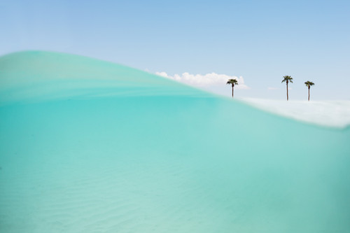 Palm Curves | Daniel Mead