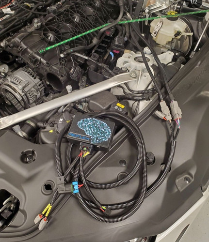 Motiv Reflex Kit | p2uned.com