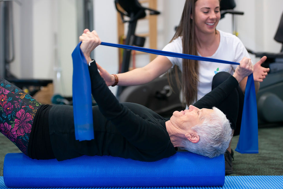HOME MELBOURNE EXERCISE PHYSIOLOGY GROUP MOVING BEYOND CANCER home-melbourne-exercise-physiology-group-moving-beyond-cancer