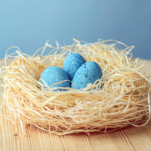 Bumbu Toys Wooden Brontosaurus Egg Set | themulberrytreehouse