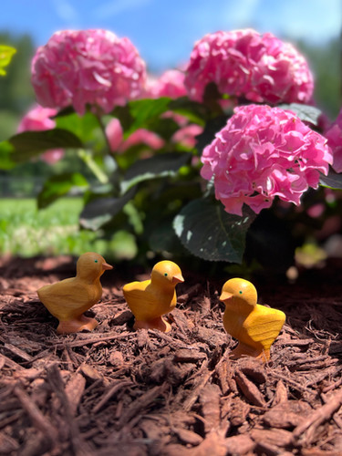 Handmade Wooden Baby Chick Set ( 3 pcs) | themulberrytreehouse