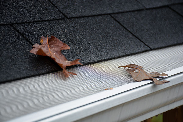 LeafSlugger - America's Favorite Gutter Covers