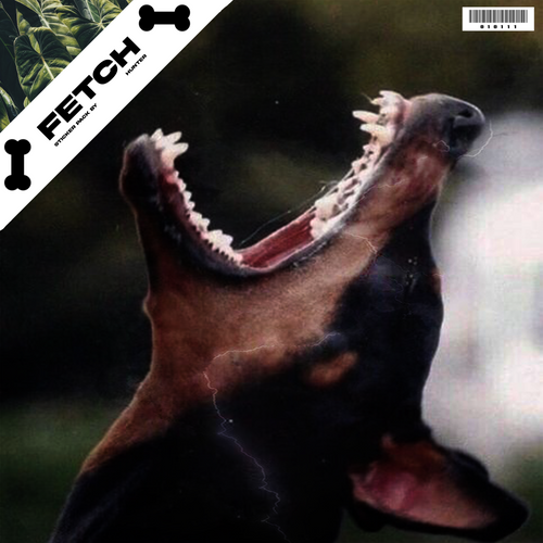 "FETCH" Sticker Pack | hunterdthompson