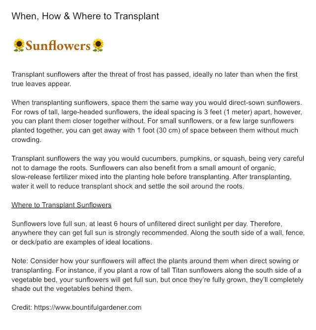 Sunflower notes from Gemini Gardens