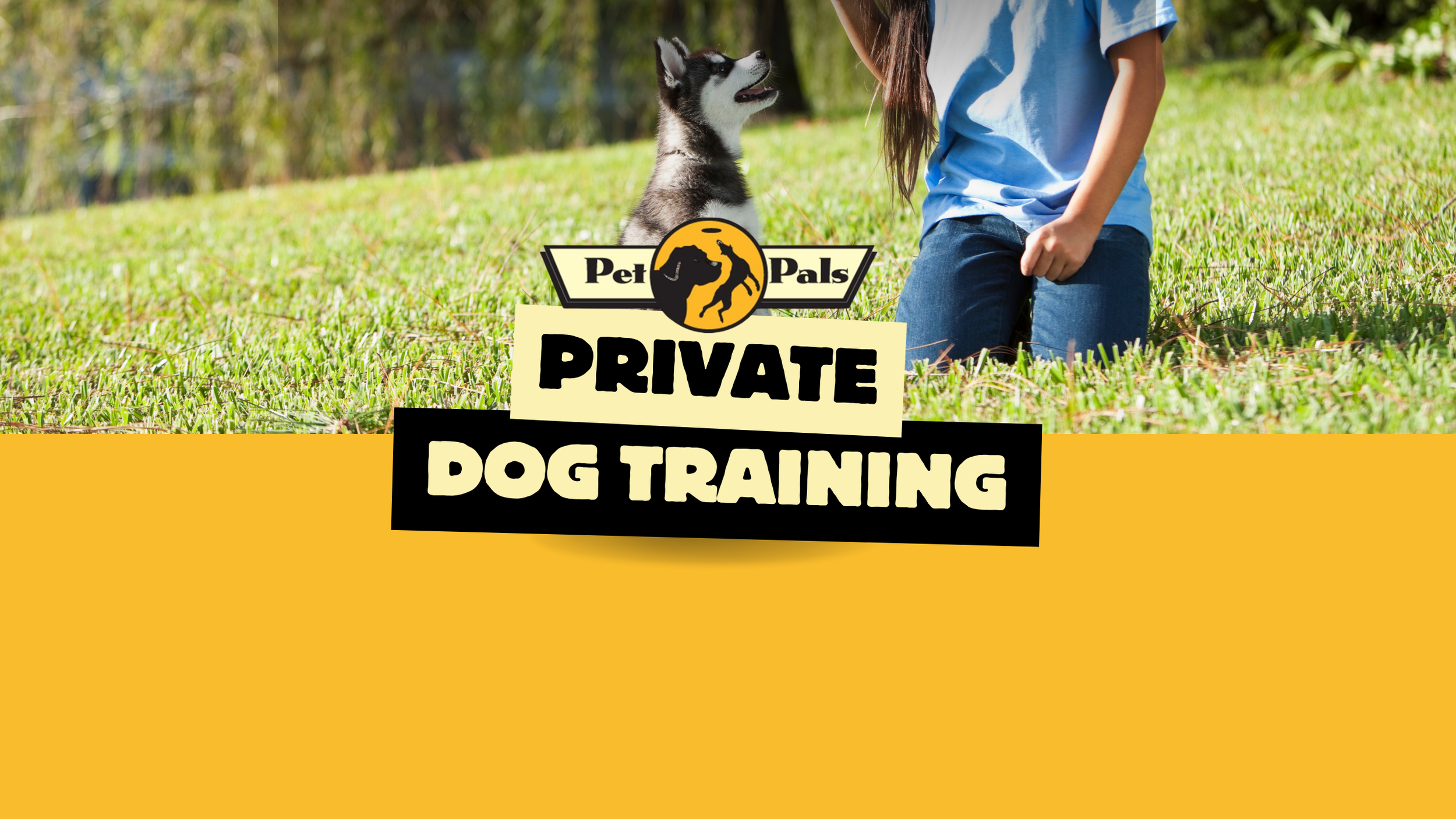 Private Dog Training | Pet Pals Dog Training Patterson Lakes