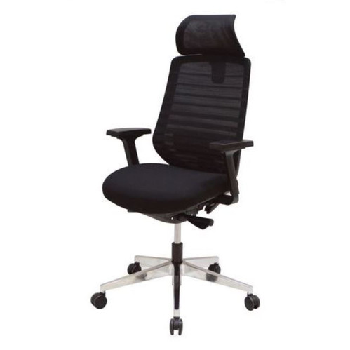 Rise Black Mesh Chair | Ergoflex (I) Pvt Ltd