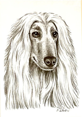 Bruce LeBold| Canine Crest Afghan| Lithograph | Contre Le Mur Art