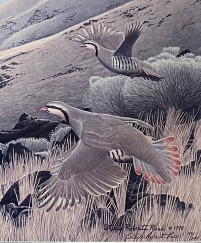 Steel Roberts-Ross|Rimrock Chukars|LE Lithographic Print | Contre Le ...