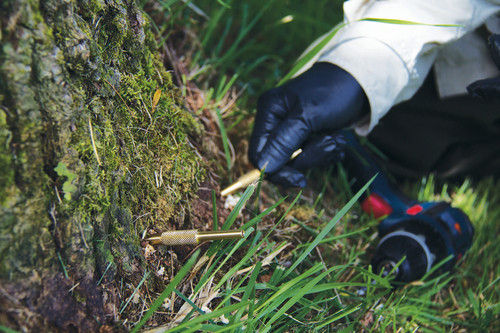 Tree Defendr | Michigan | Save My Tree | Tree Injector