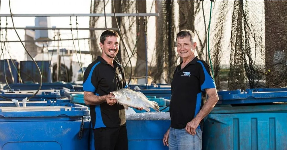 Humpty Doo Barramundi partners with Disruptive Packaging