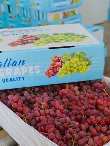 Fresh Produce Packaging | Disruptive Packaging