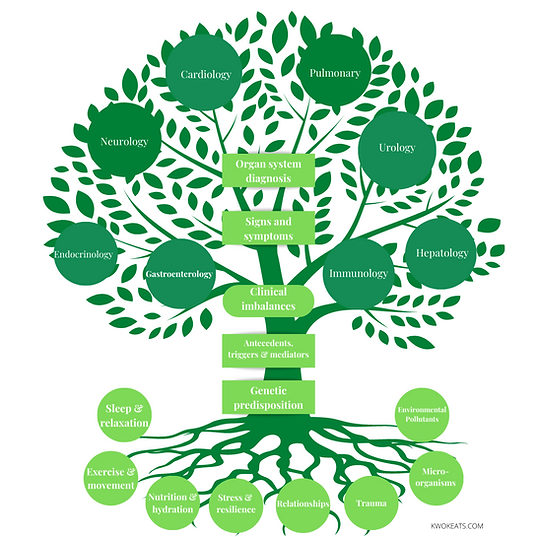 What is functional medicine? | KwokEats