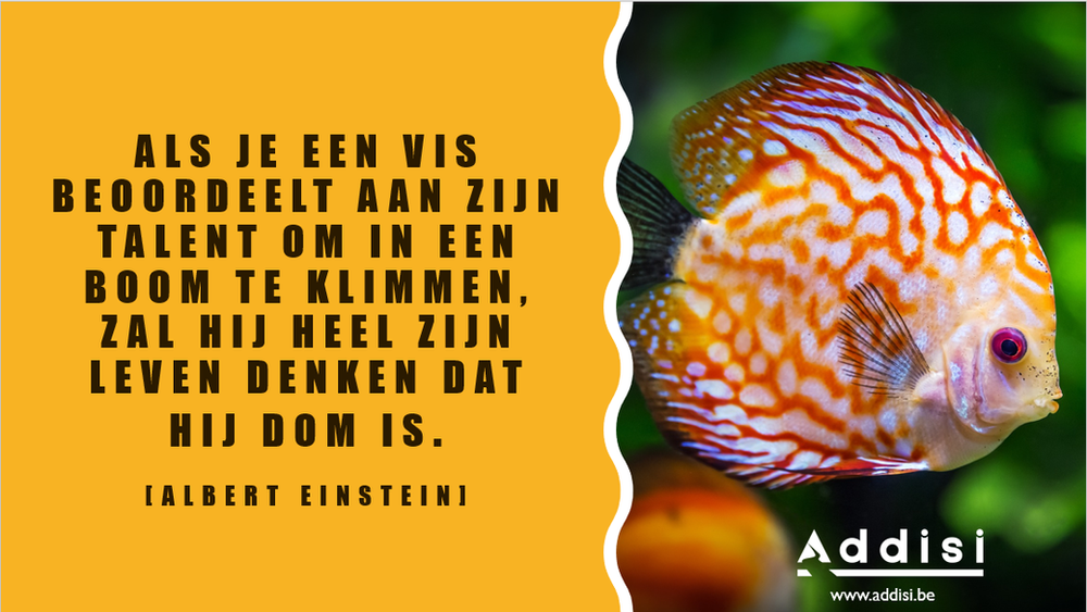 13 'best-of' quotes op jouw weg naar groei.