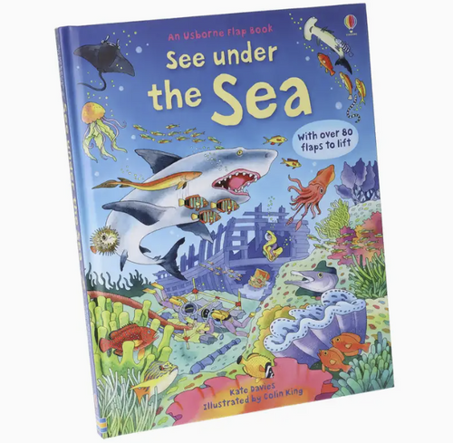 See Under the Sea - An Usborne Flap Book | Beckette & Book