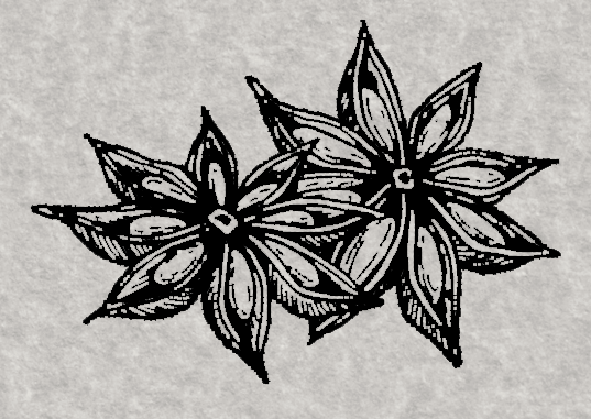 Menu | Noisette French Café | United States