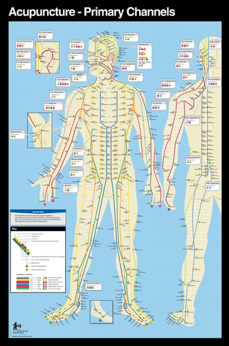 Primary Channels - 24"x36" Poster | internalalchemy