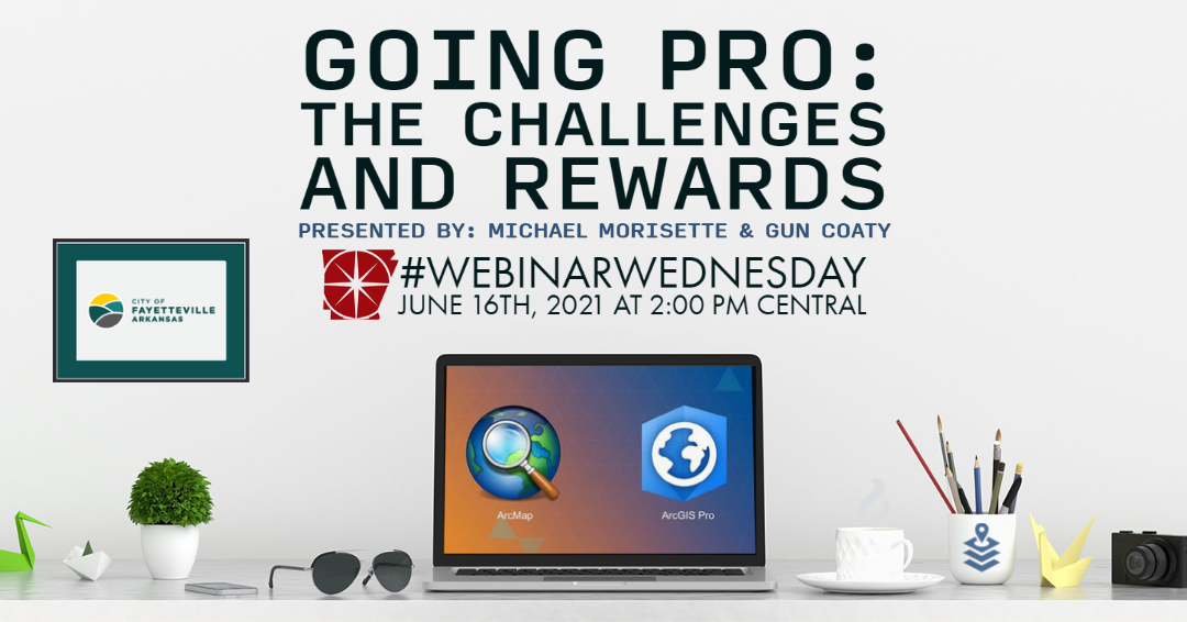 📺 Going Pro: The Challenges & Rewards