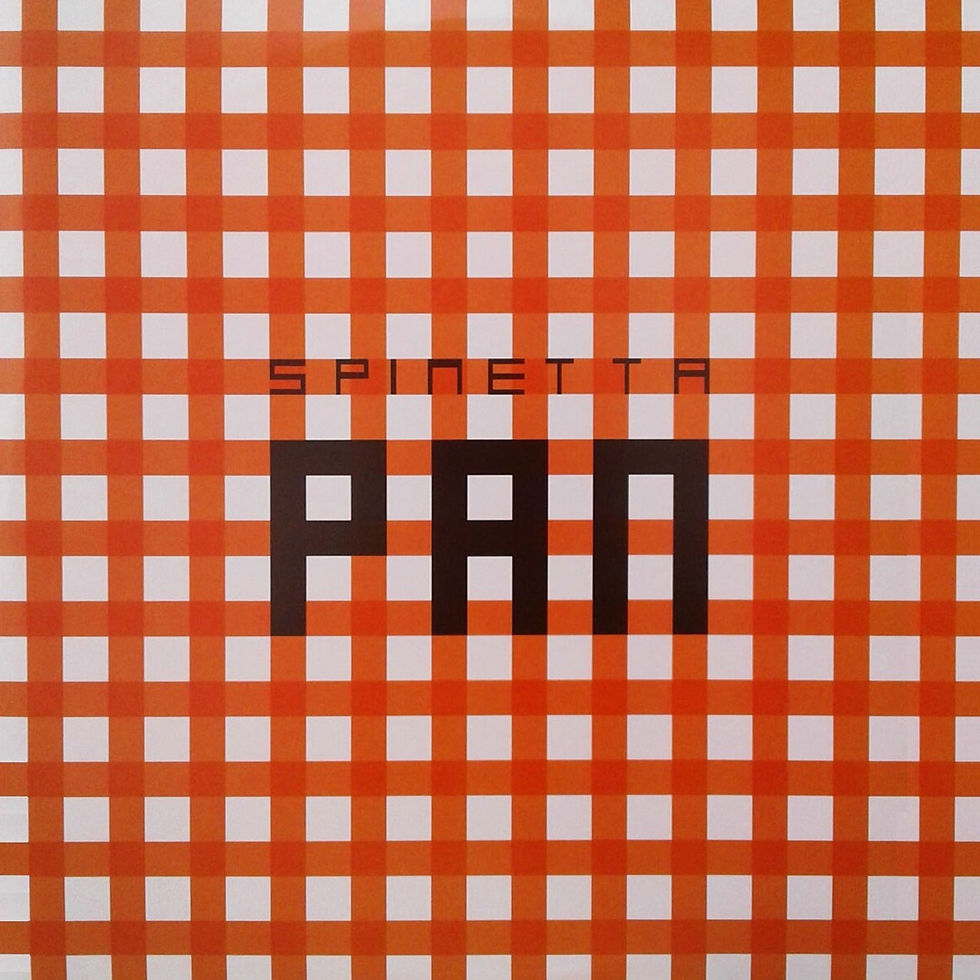 Luis Alberto Spinetta en 9 discos