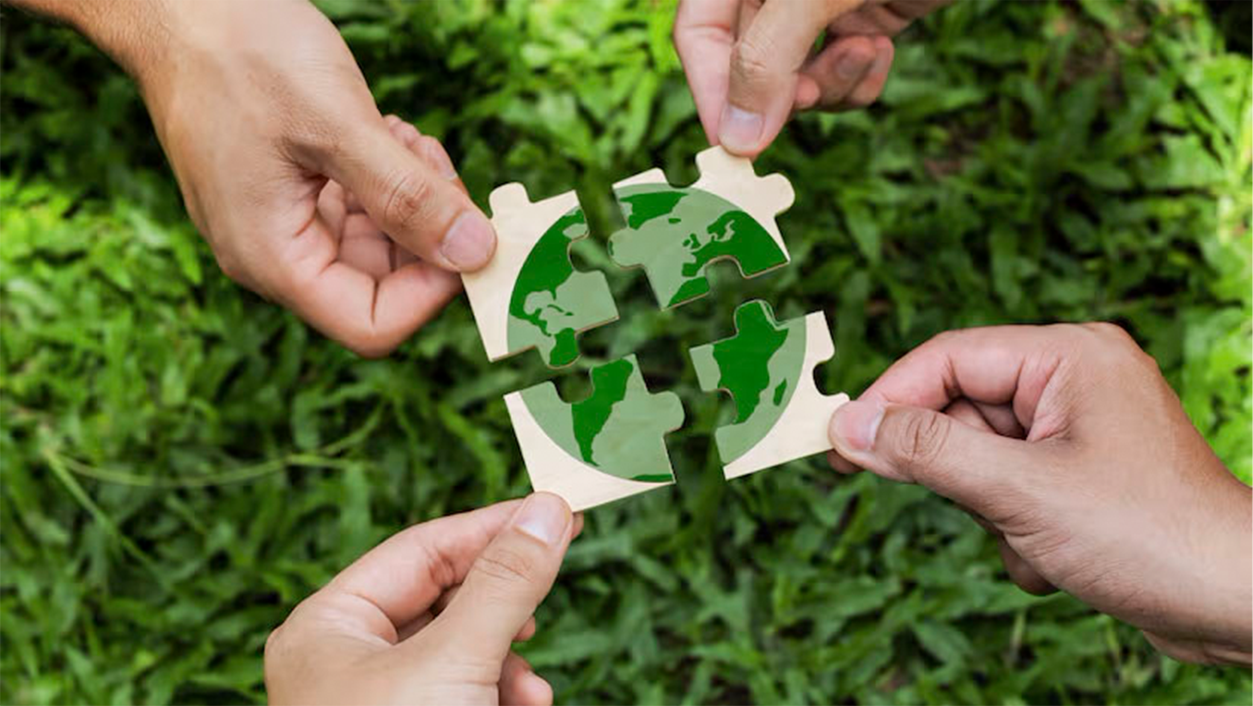 Driving Sustainability Through Strategic Partnerships