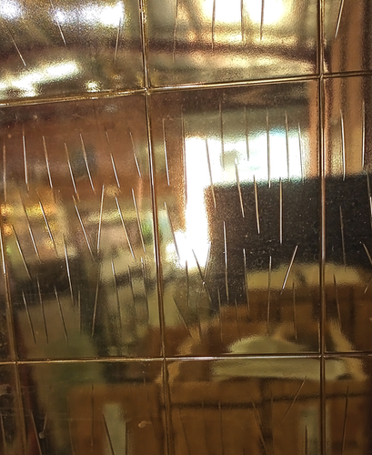 Amber Tudor | ASGS Online Shop