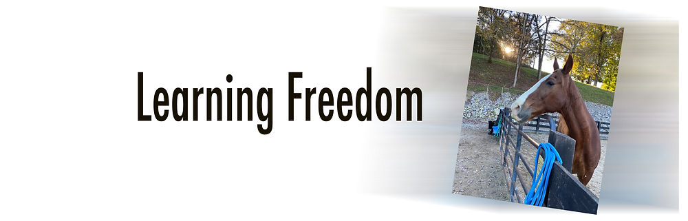 Learning Freedom