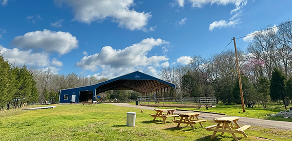 Freedom Reigns Ranch - Middle Tennessee - Equestrian, Volunteer, Mentorship