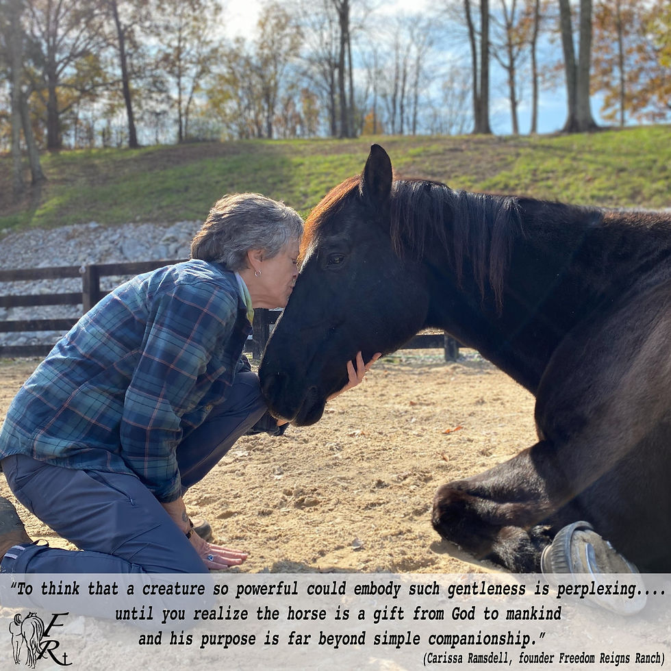 Media and Photo Page | freedomreignsranch