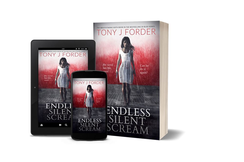 My Endless Silent Scream