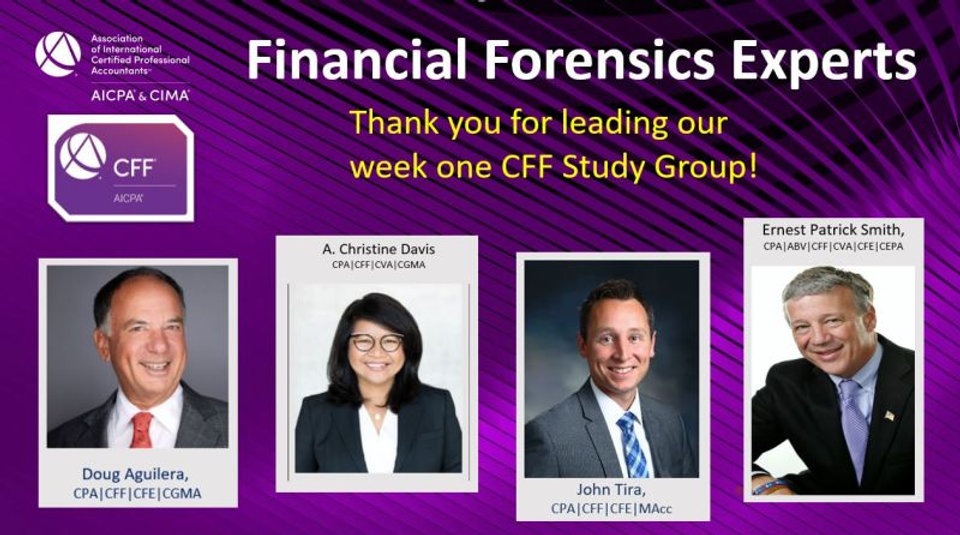 Chris Davis Serves as Moderator for the AICPA's CFF Committee Study ...
