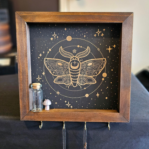 Moth Display Shelf Rack | yiskadesigns